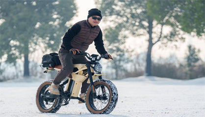 Power Unleashed: ANT6, Your 750W Electric Bike Adventure – marsantsx