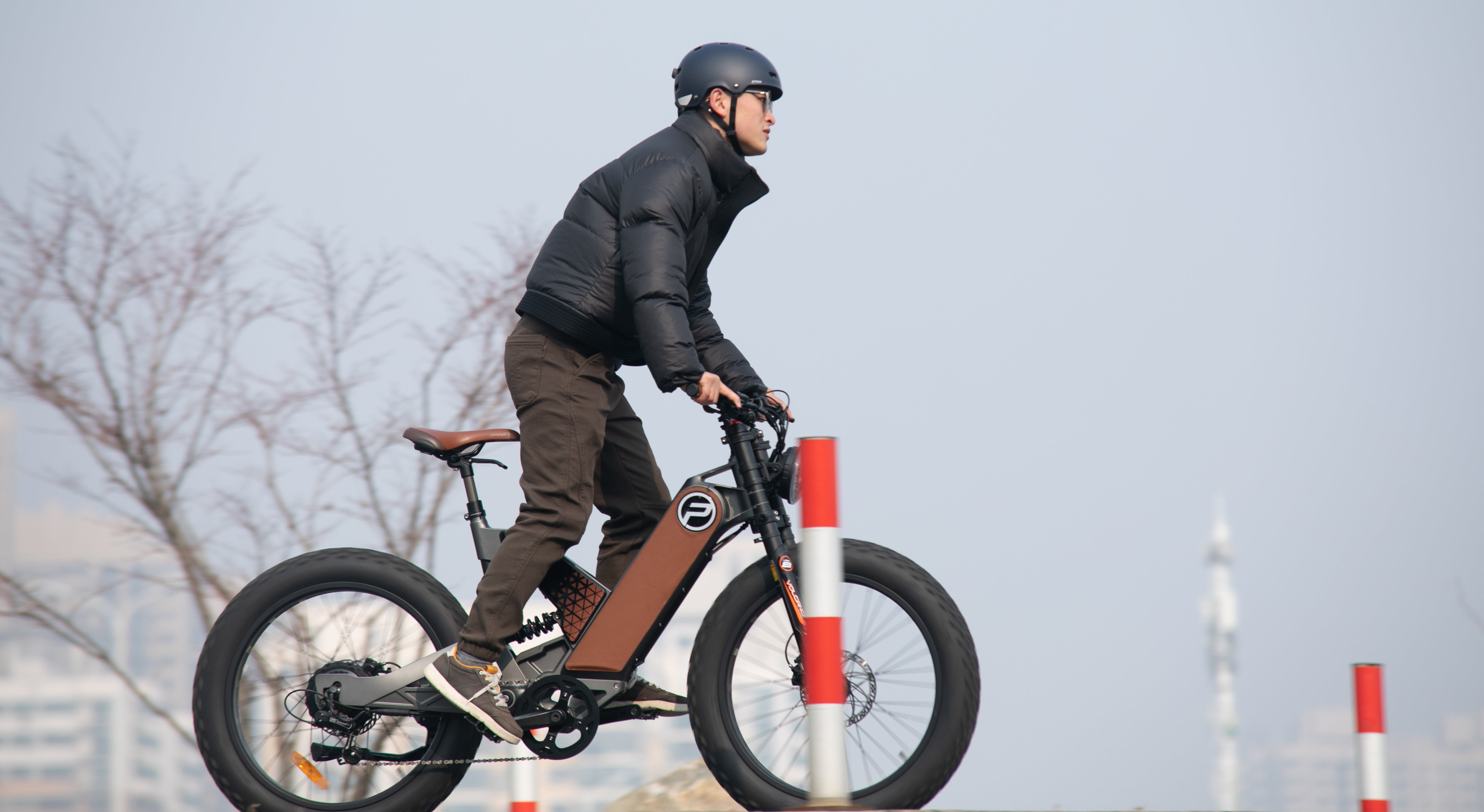Who is the target market for Ebikes – marsantsx